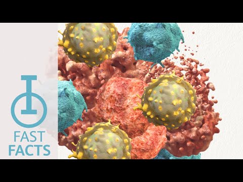 What is the Role of Cytotoxic T Cells in Antitumor Immunity? / RETIRED