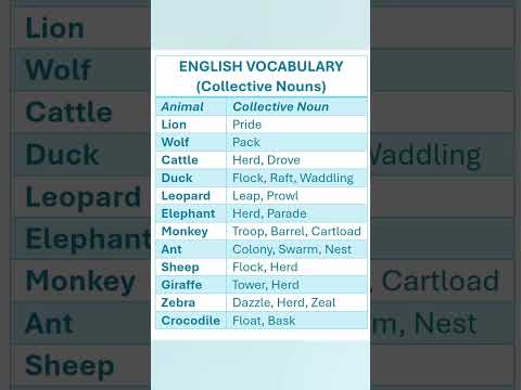 Collective Nouns. English Vocabulary. Basic to Advanced Vocabulary for IELTS, Exams & Daily Use
