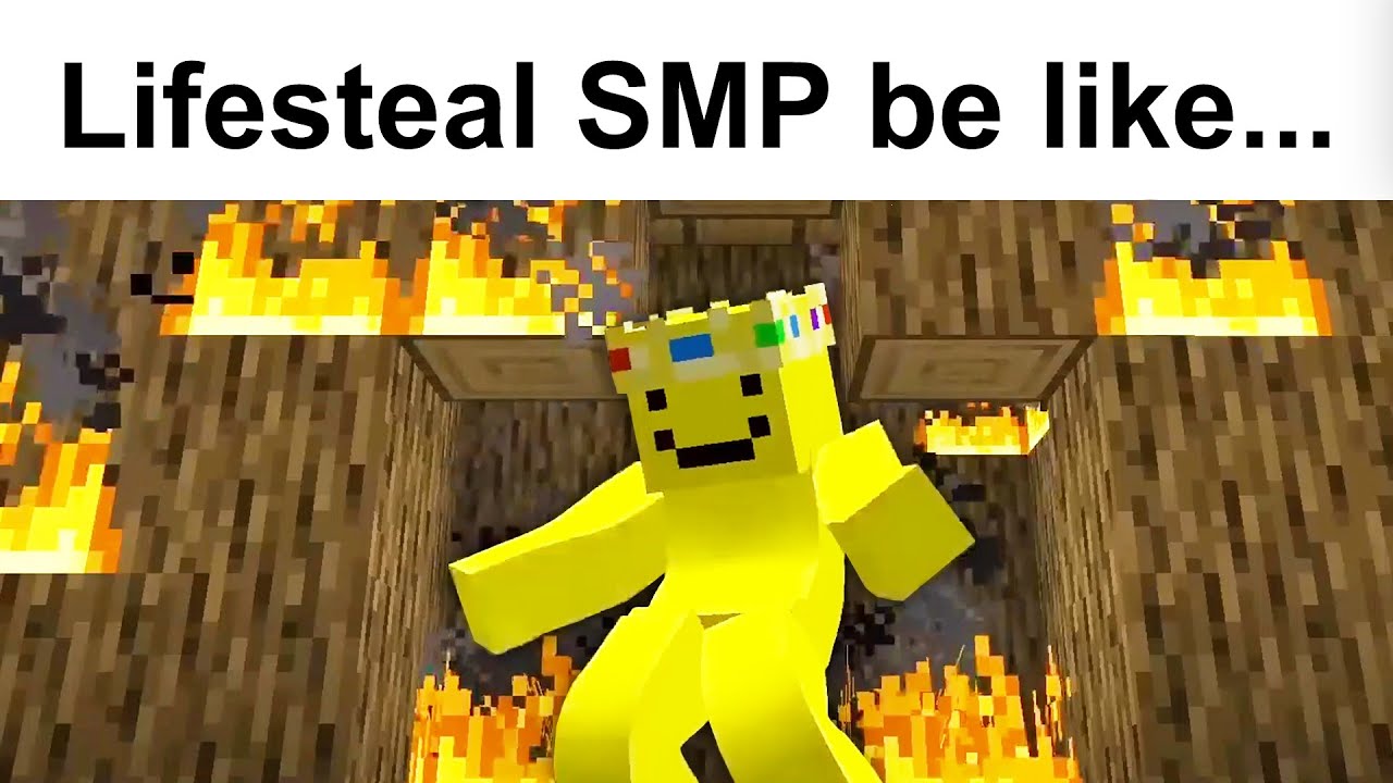 Lifesteal SMP Slander 4