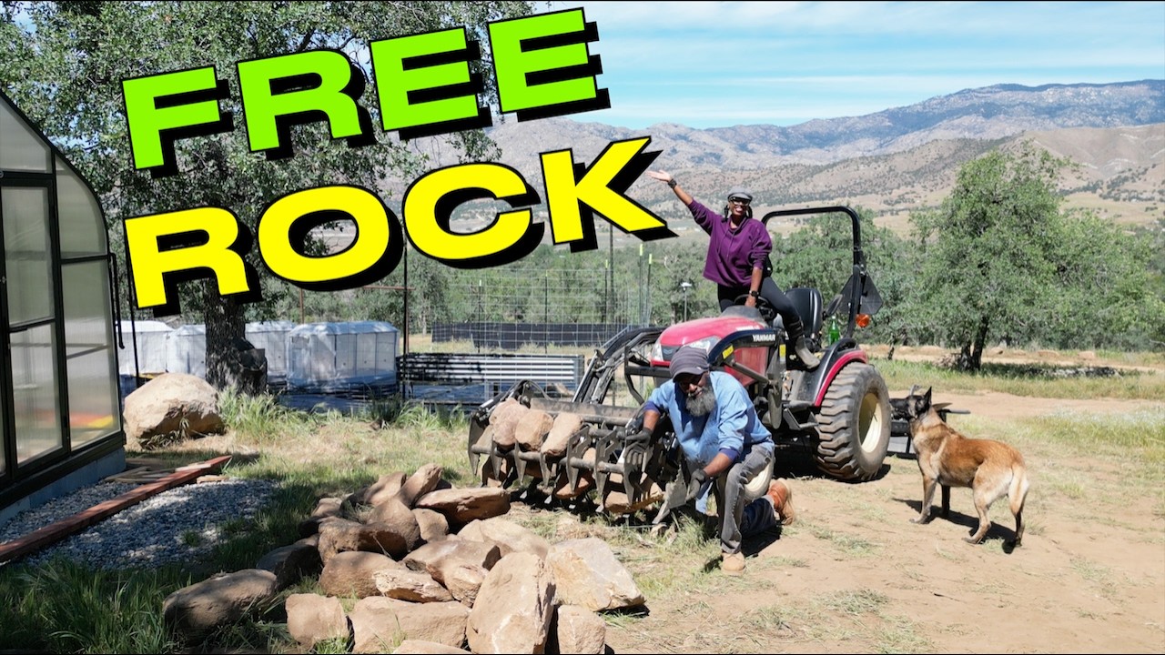 WHY BUY MORE GRAVEL? WE ALREADY HAD THE ROCK!