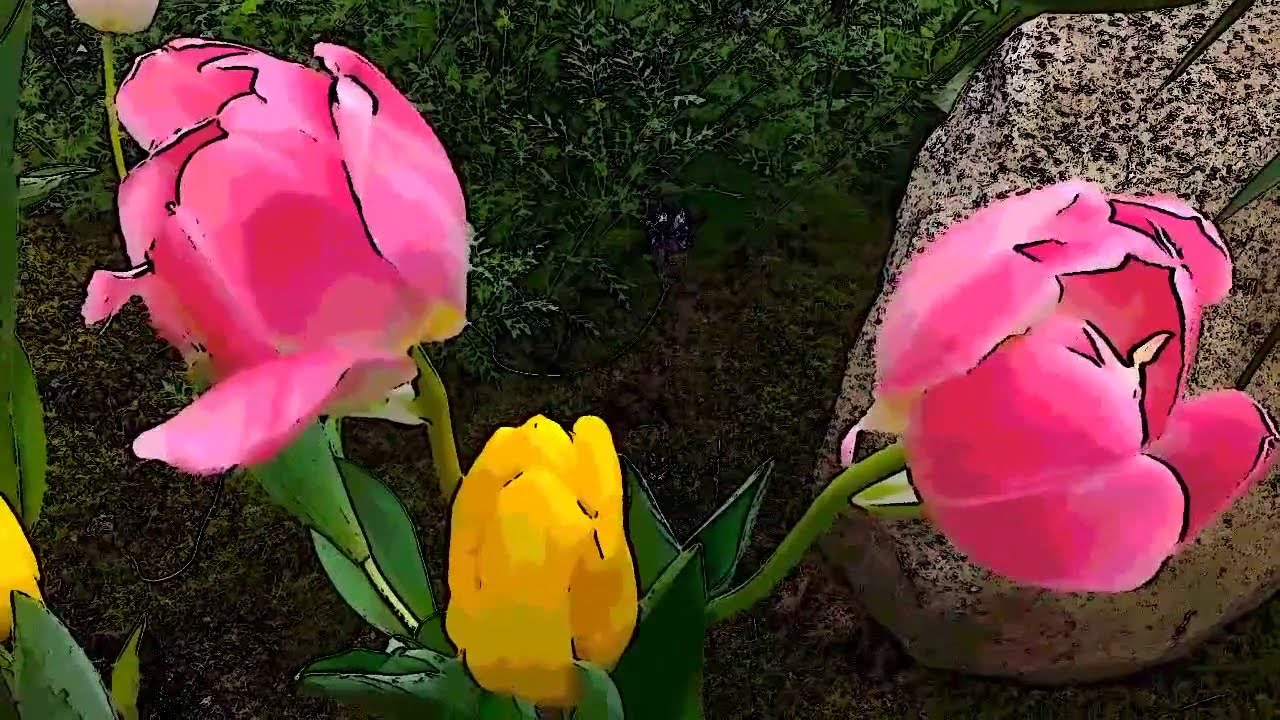 Cartoon Flowers - Cartoon Effect of ASUS PixelMaster Camera App