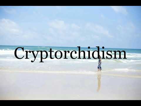 How To Pronounce Cryptorchidism🌈🌈🌈🌈🌈🌈Pronunciation Of Cryptorchidism