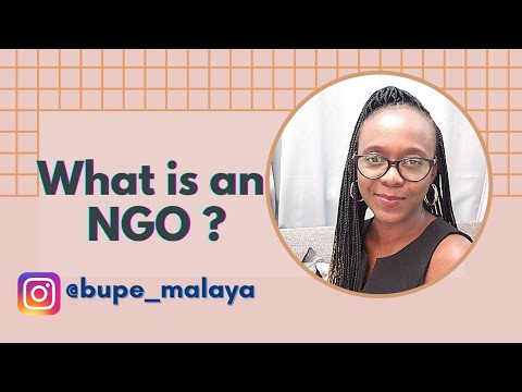 What is an NGO