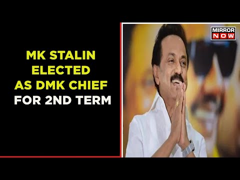 Tamil Nadu Chief Minister MK Stalin Unanimously Re-Elected As DMK President | English News
