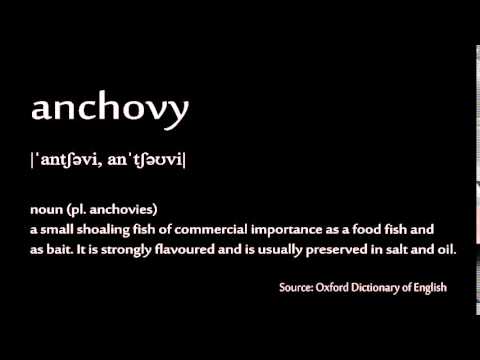 How to pronounce - anchovy