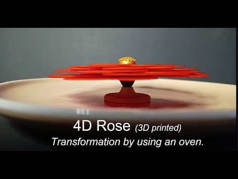 4D printed Rose by Wim_V - Thingiverse