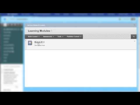 Blackboard Learn 9.1 Create and Build Learning Modules tool