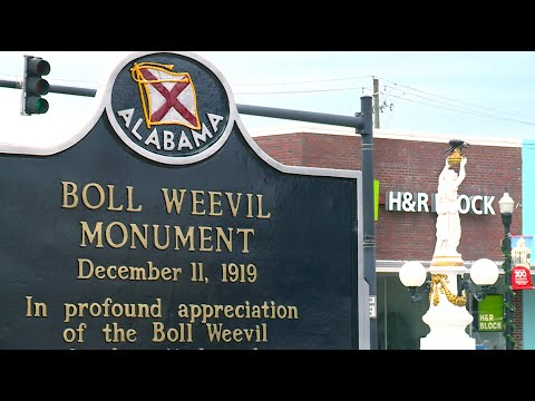 Show 612B - Boll Weevil Statue Centennial