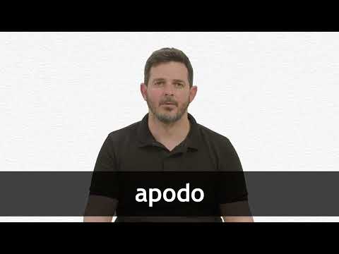 English Translation of “APODO” | Collins Spanish-English Dictionary