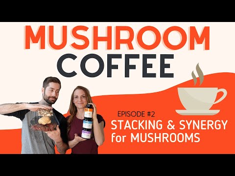 Which Medicinal Mushrooms Synergize Together? (Mushroom Coffee Episode #2)