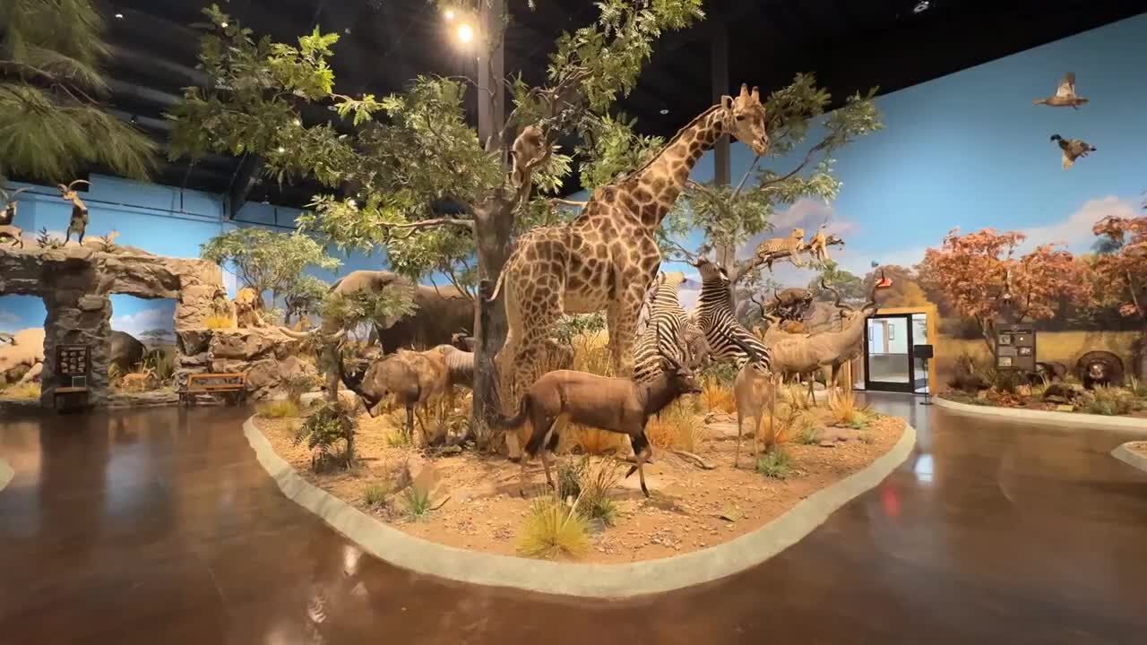 Focus on 5: Jay's & Webber Wildlife Center-Part 1