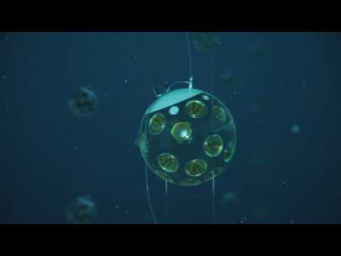 ©KM3NeT detection units deep sea neutrino telescope