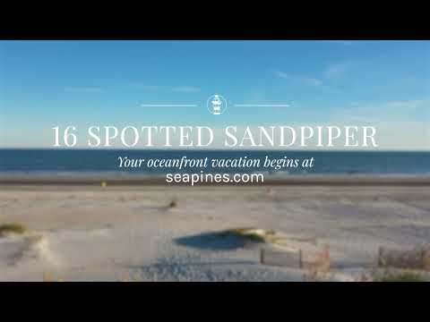 16 Spotted Sandpiper - The Sea Pines Resort - Hilton Head Island