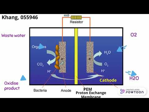 Mechanism of MFC