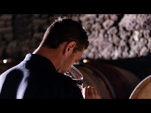 Bloemendal Wine Estate