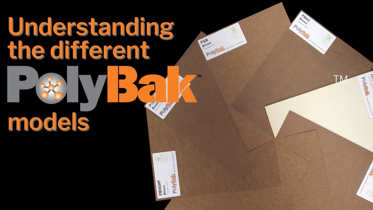 PolyBak Models Explained