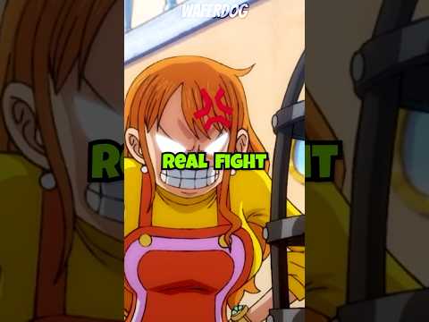 Why Nami can punch Luffy?