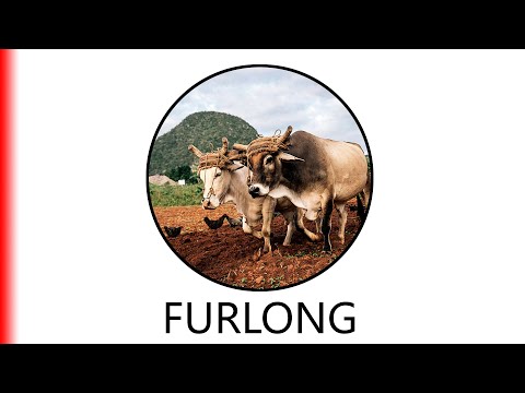 FURLONG.