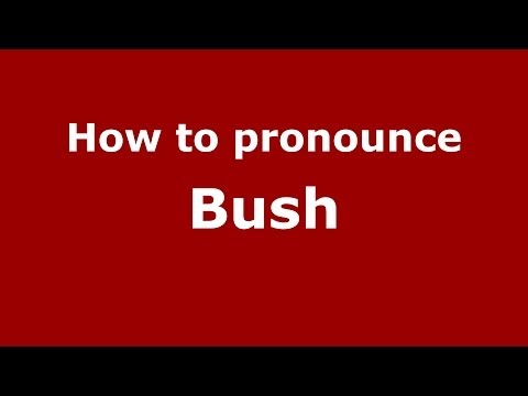 How to pronounce Bush (Italian/Italy) - PronounceNames.com