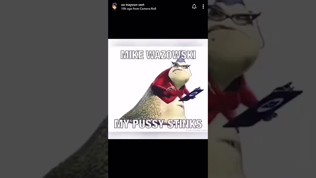 mike wazowski my kitty stinks
