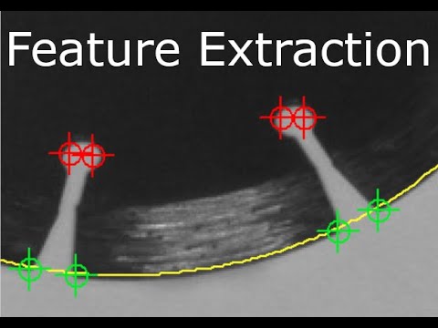 Basic Image Feature Extraction