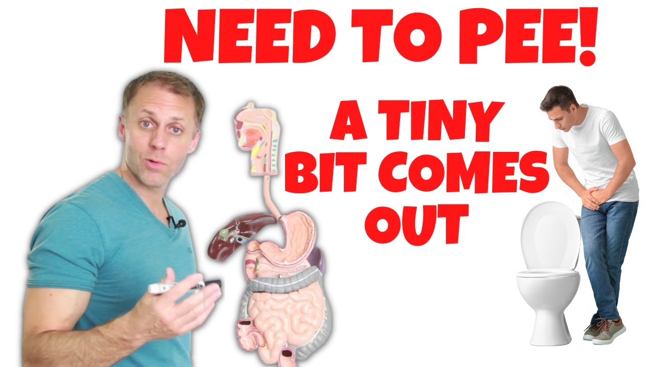 Why Do I Have to Pee So Often But Hardly Any Comes Out?