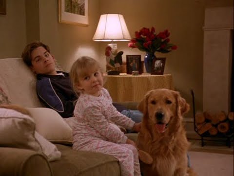 AIR BUD 1 FULL MOVIE IN HINDI [BEST MOVIES FOR KIDS]