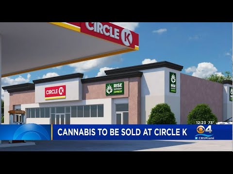 Cannabis Coming To Circle K Gas Stations In Florida