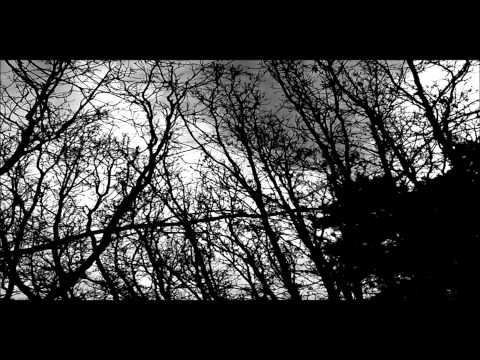 Barren Landscape