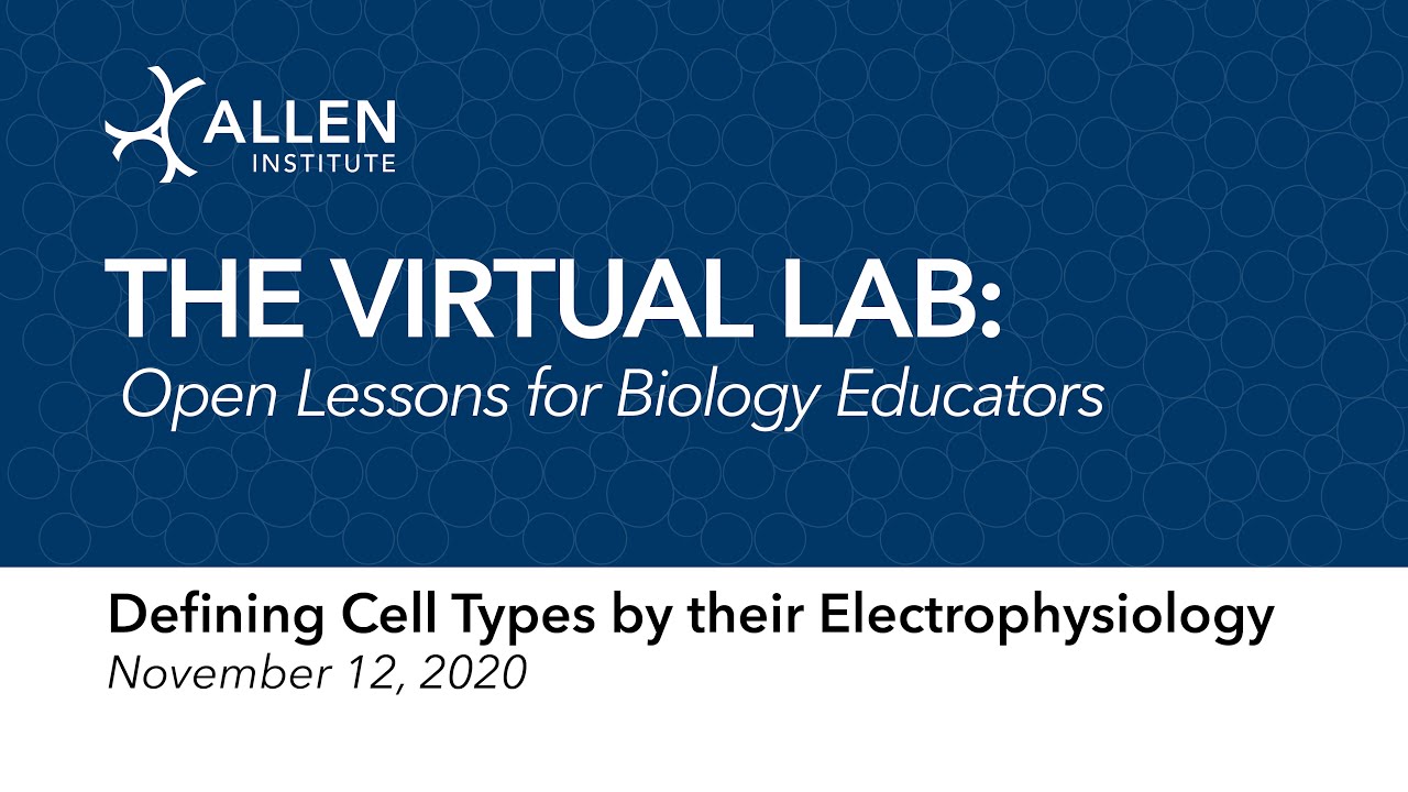 The Virtual Science Lab: Defining Cell Types by their Electrophysiology