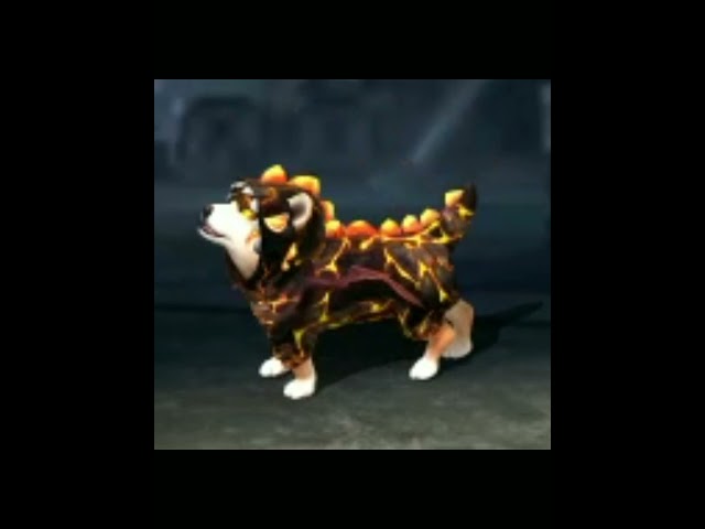 5 best Free Fire pet skins of all time (rare and legendary skins included)