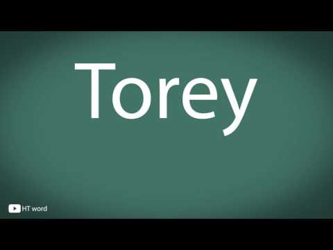 How to pronounce Torey