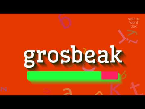 HOW TO PRONOUNCE GROSBEAK? #grosbeak