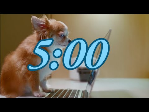 Puppy Playground Countdown π 5 Min Productivity Boost with Dogs