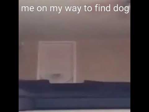 Steam Community :: Video :: 21st Century Humor