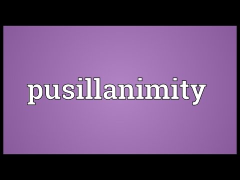 Pusillanimity Meaning