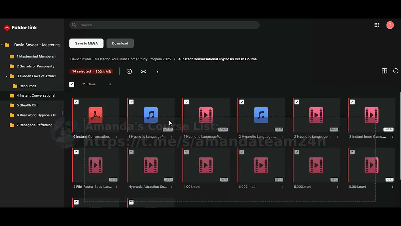 [Glocourse.com] David Snyder – Mastering Your Mind Home Study Program 2025