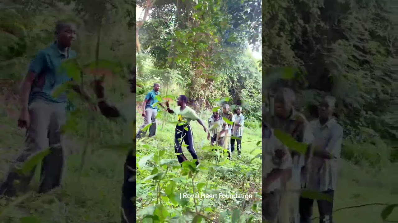 Royal Heart Foundation Kids already Taking it to another level