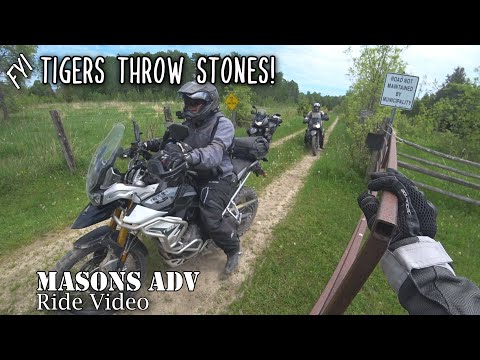 Tigers do throw stones! | Masons ADV |