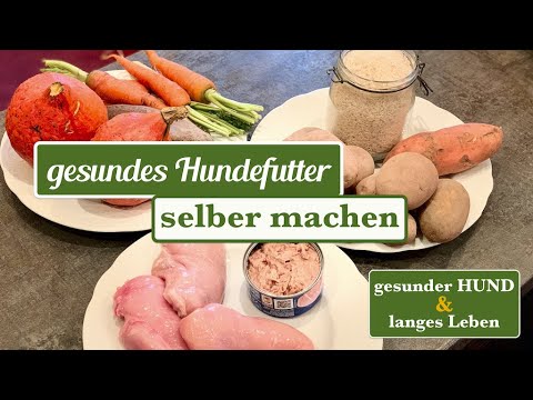 Hundefutter selber machen? REZEPT für ein gesundes langes Hundeleben
