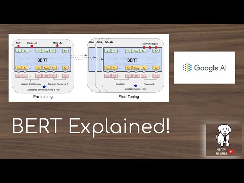 BERT Explained!