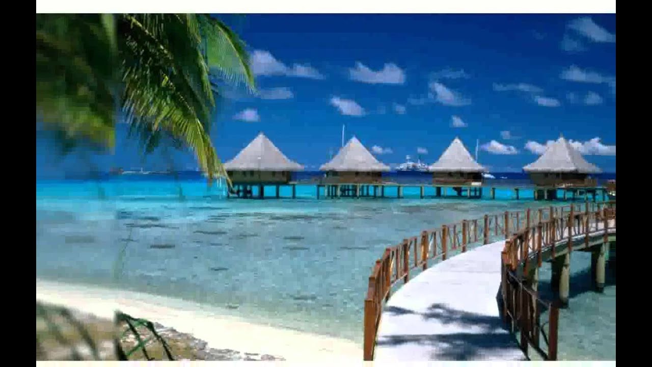 Tropical Wallpaper -  Pictures Design
