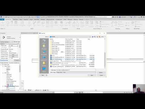 Revit Backups Number – Phoenix