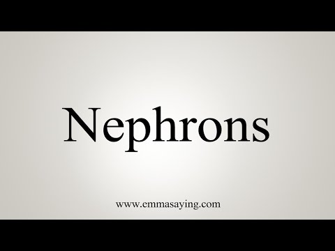 How To Say Nephrons