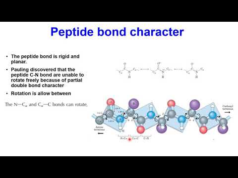 Nanobiotechnology and Nanomedicine ( Course code 601104) Unit- Protein Lecture 6