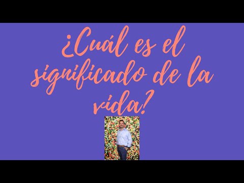 ¿Cuál es el significado de la vida? – XXII Domingo del tiempo Ordinario ...
