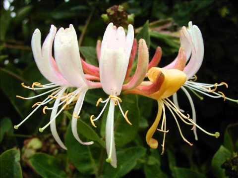 8 2 PROPAGATION
