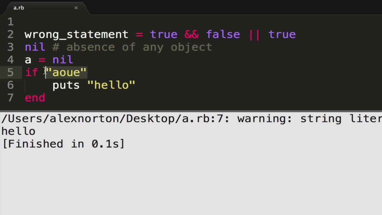 Learn Ruby: Nil type