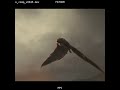 Rodan (Monsterverse) | Wikizilla, the kaiju encyclopedia