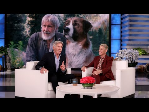 Harrison Ford Reveals He Cut Meat and Dairy Out of His Diet